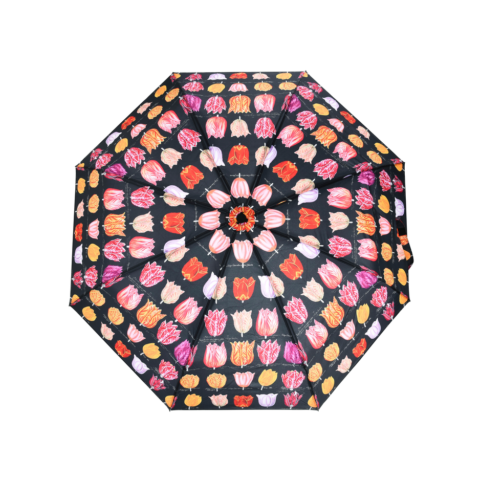 All products – daandaanstore